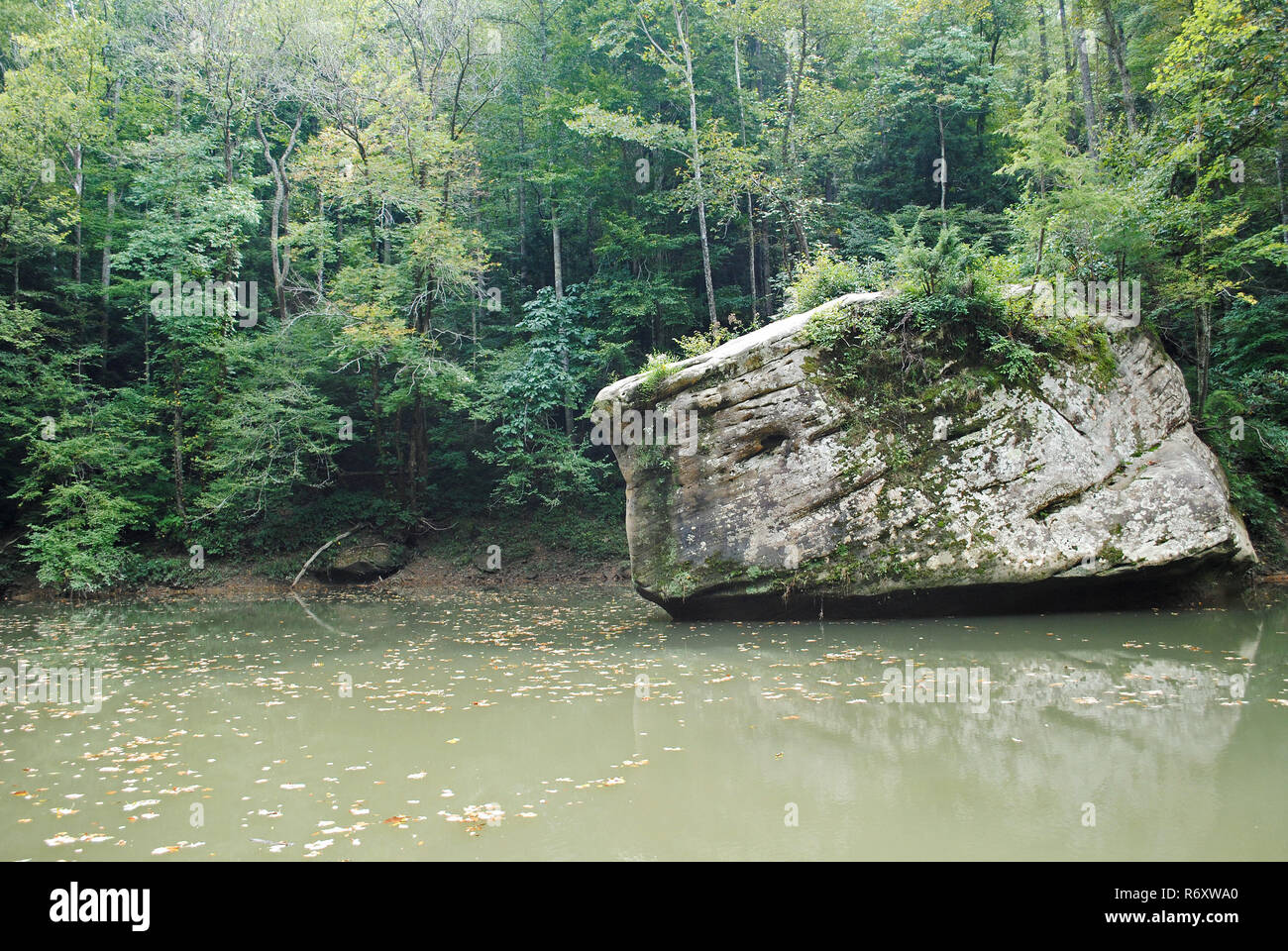 Boulder along a river with the forest behind Stock Photo - Alamy