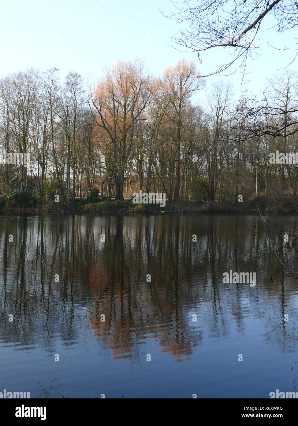 lake with trees Stock Photo - Alamy