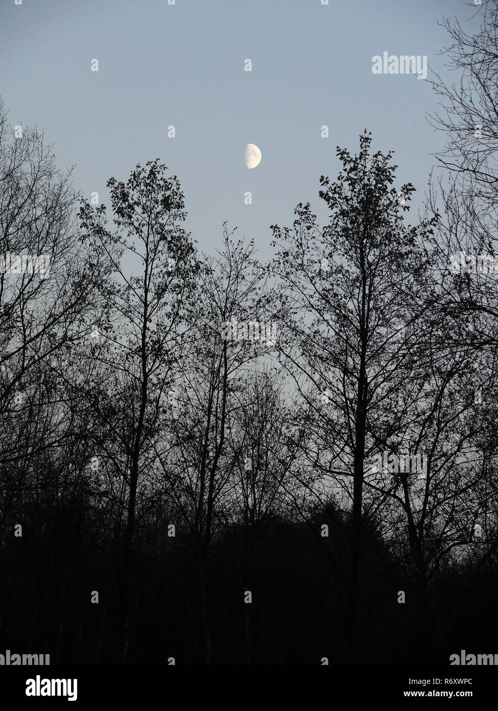 Moonrise Night Nighttime High Resolution Stock Photography and Images ...