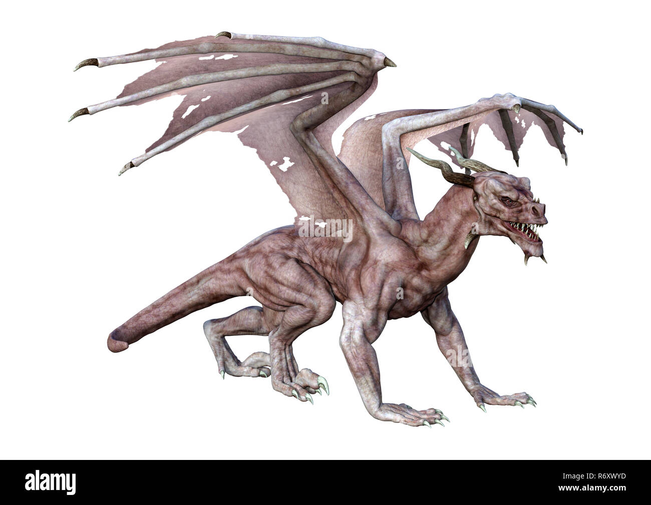 3D Rendering Fantasy Vampire Dragon on White Stock Photo - Alamy
