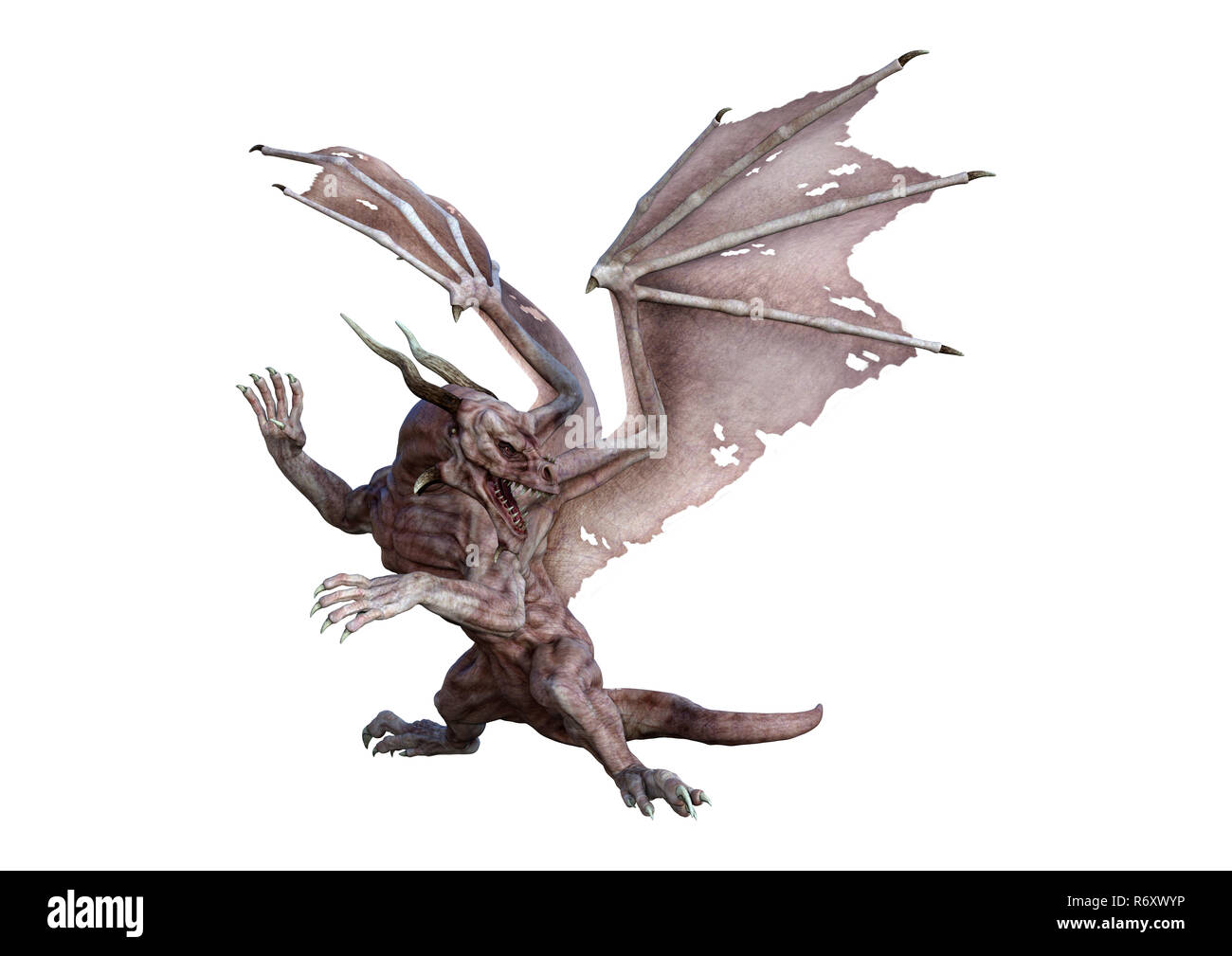 3D Rendering Fantasy Vampire Dragon on White Stock Photo - Alamy