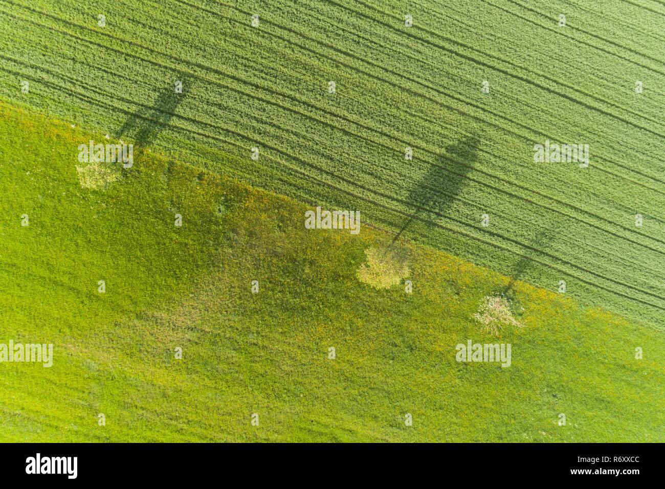 aerial view over meadows in spring Stock Photo - Alamy