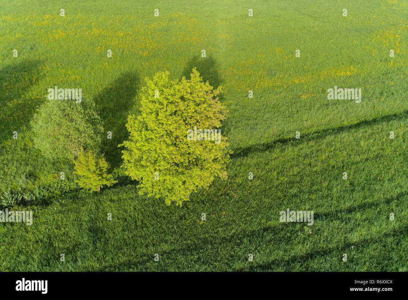 aerial view over meadows in spring Stock Photo - Alamy