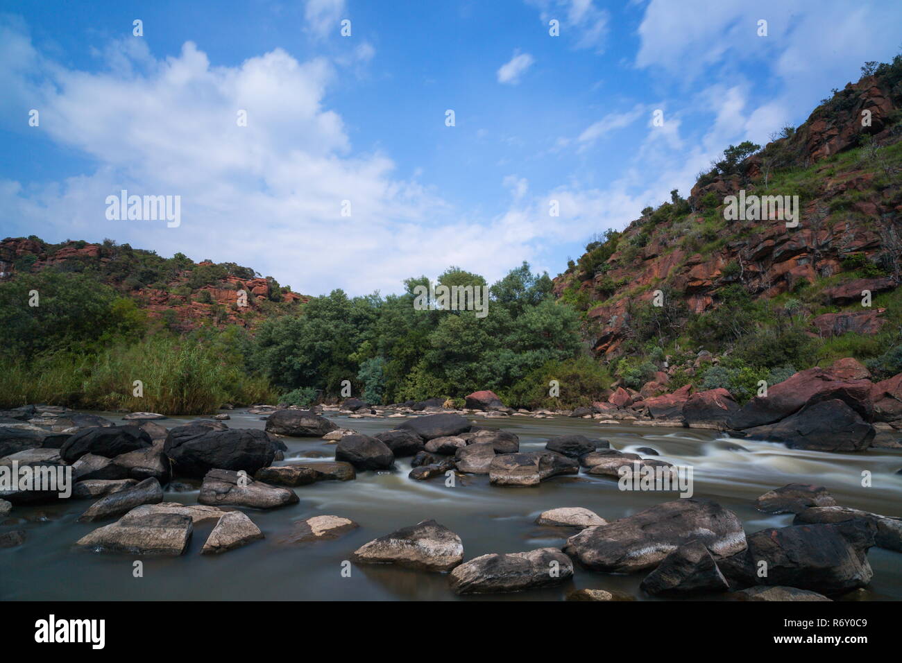 Wilge hi-res stock photography and images - Alamy