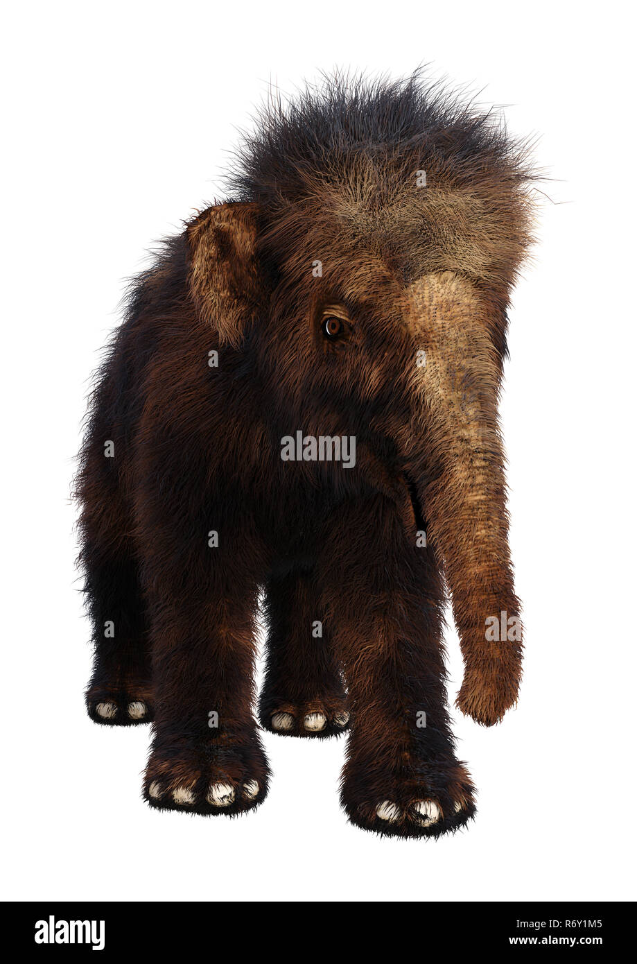 3D Rendering Woolly Mammoth Baby on White Stock Photo - Alamy