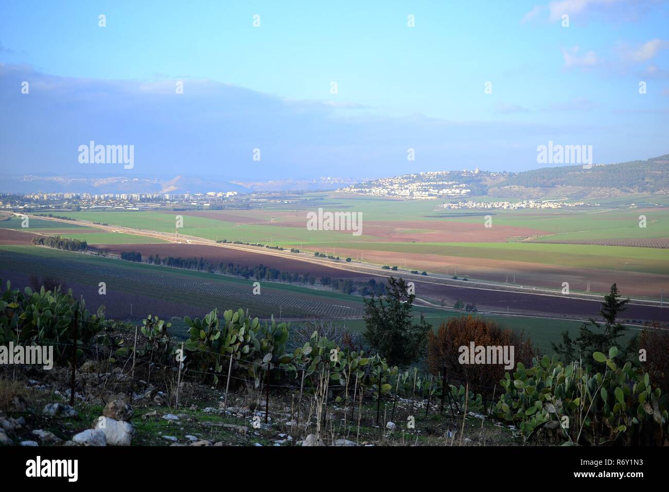 Jezreel valley israel hi-res stock photography and images - Alamy