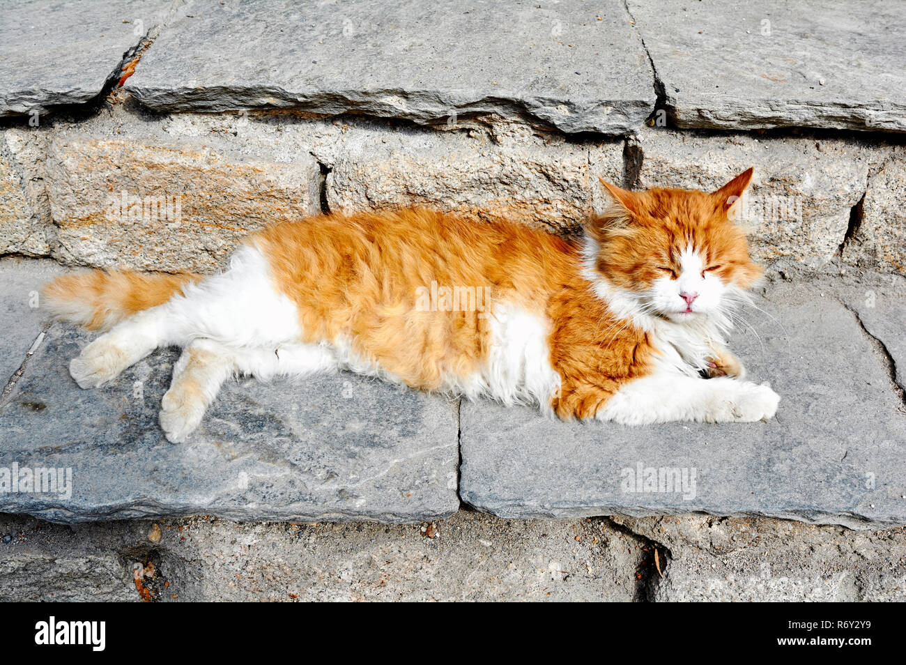 Outside in the sun hi-res stock photography and images - Alamy