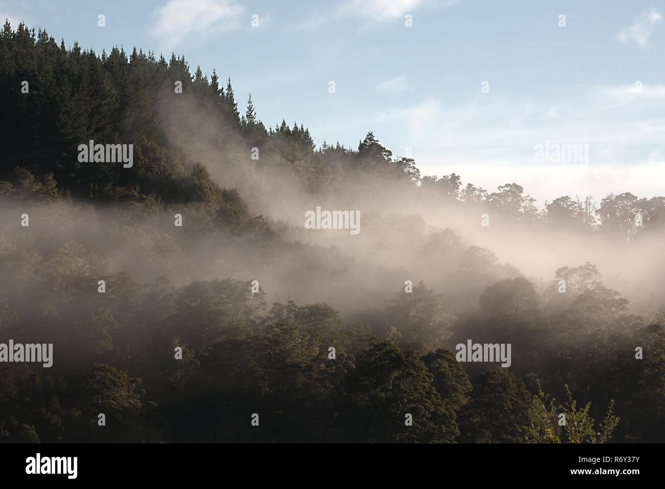 Mountains in mist Stock Photo - Alamy