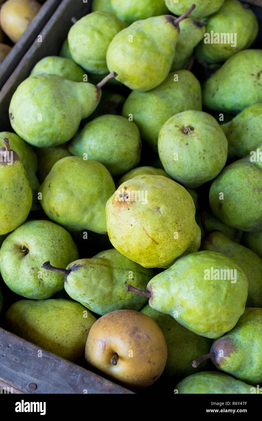 Pears at Detering Farm in Eugene Oregon Stock Photo - Alamy