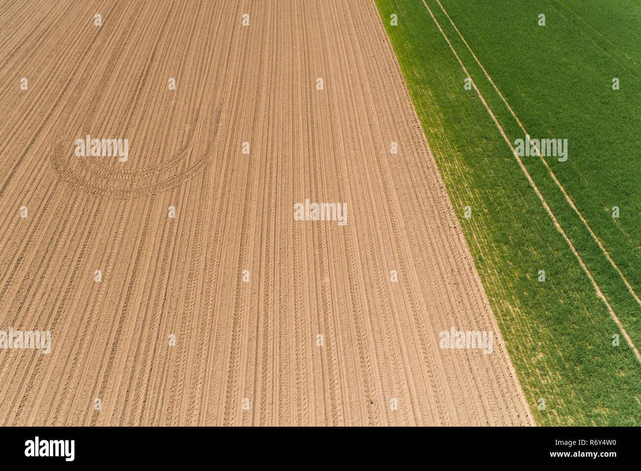 Sense of spring hi-res stock photography and images - Alamy