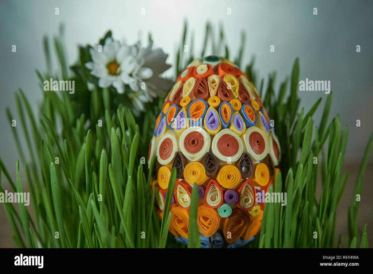 Easter egg placed between frech green wheat germs and flowers Stock ...