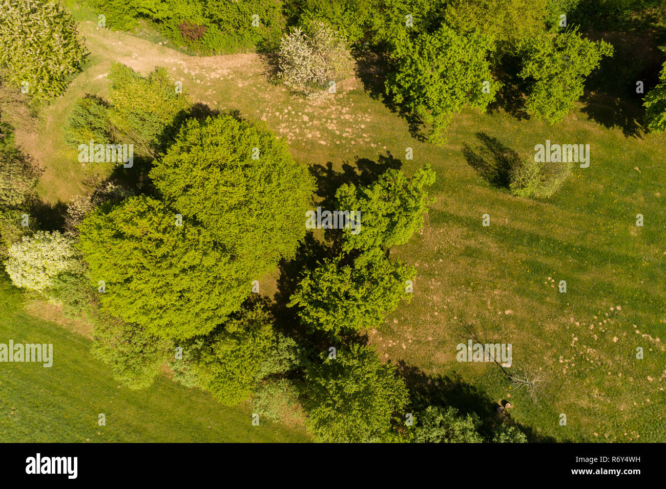 aerial view of the forest from a bird's eye view Stock Photo - Alamy
