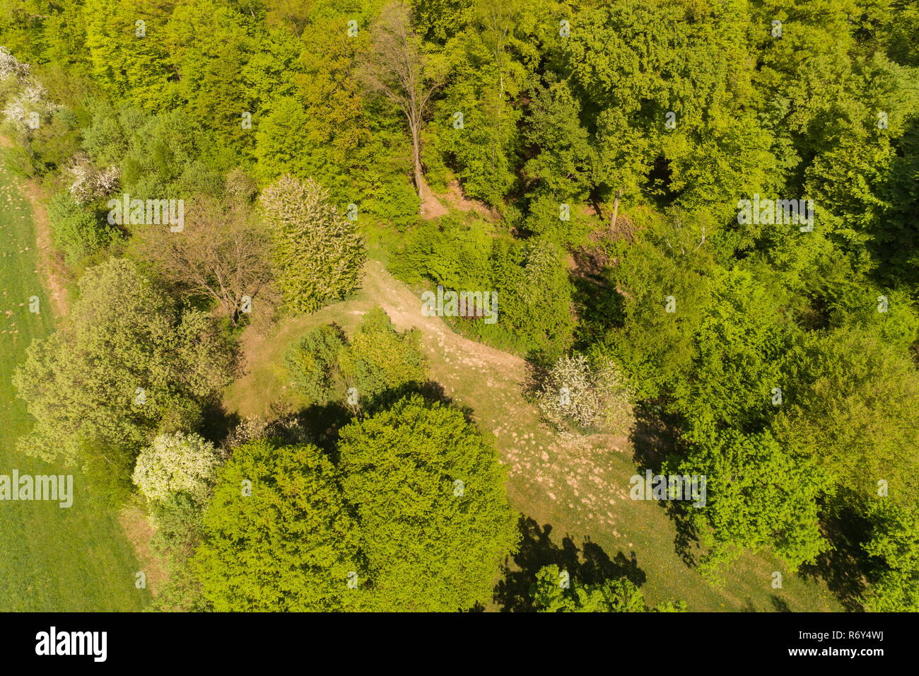 aerial view of the forest from a bird's eye view Stock Photo - Alamy