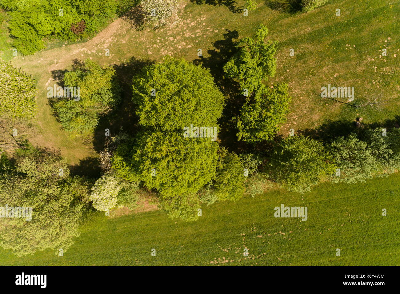 aerial view of the forest from a bird's eye view Stock Photo - Alamy