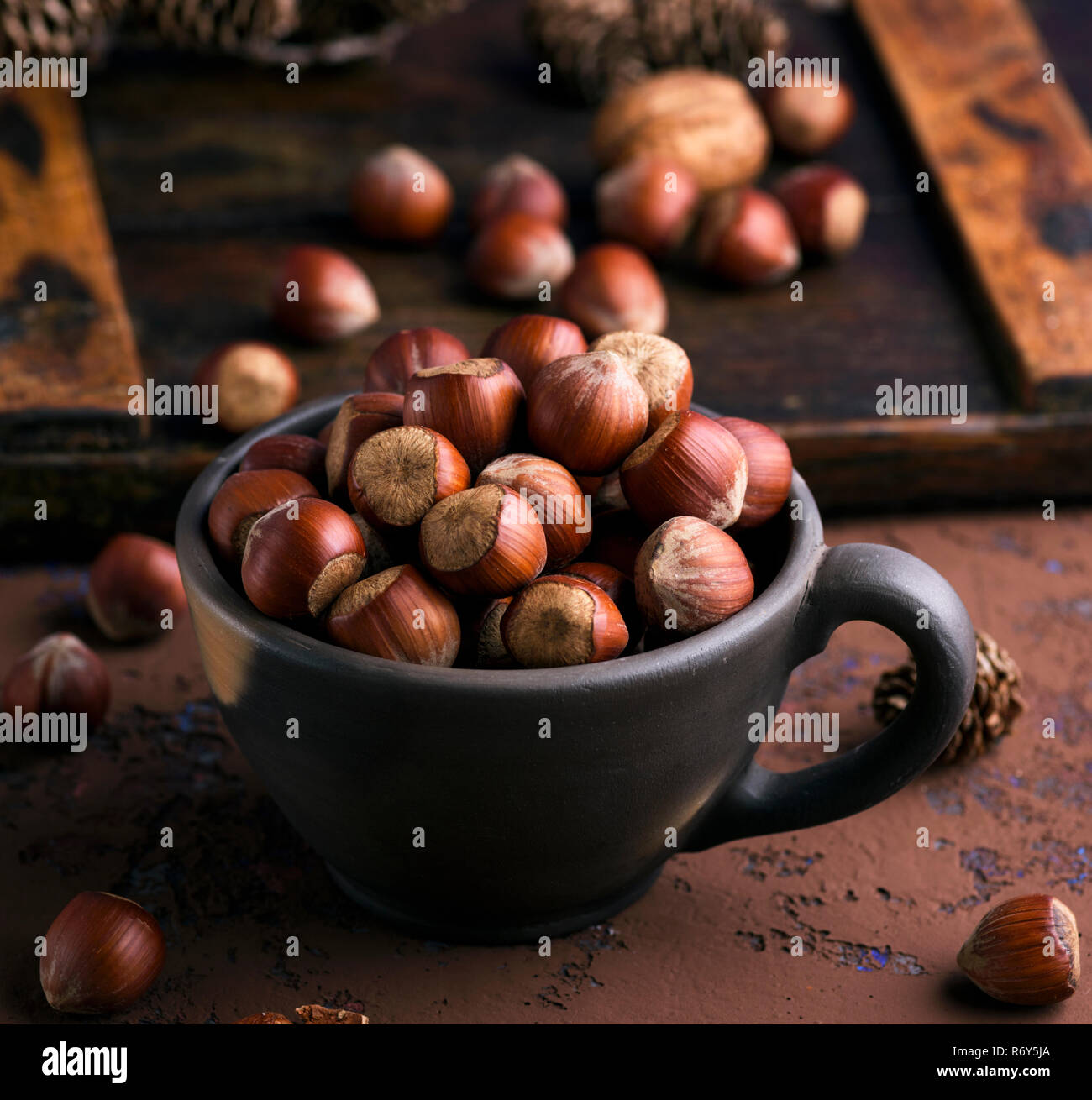 a whole hazelnut nutshell in a brown clay cup Stock Photo - Alamy