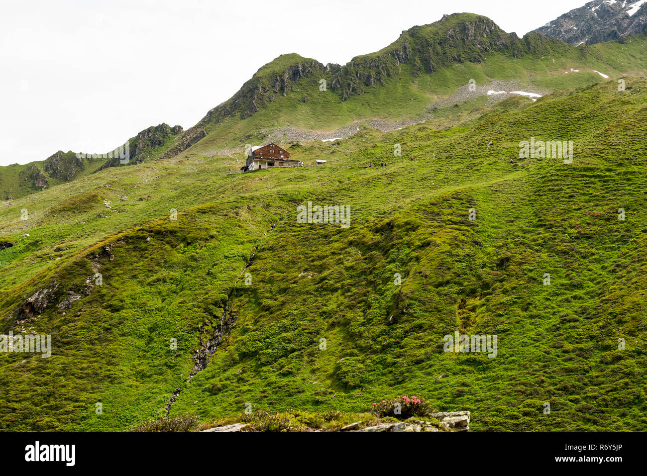 karl von edel hut Stock Photo - Alamy