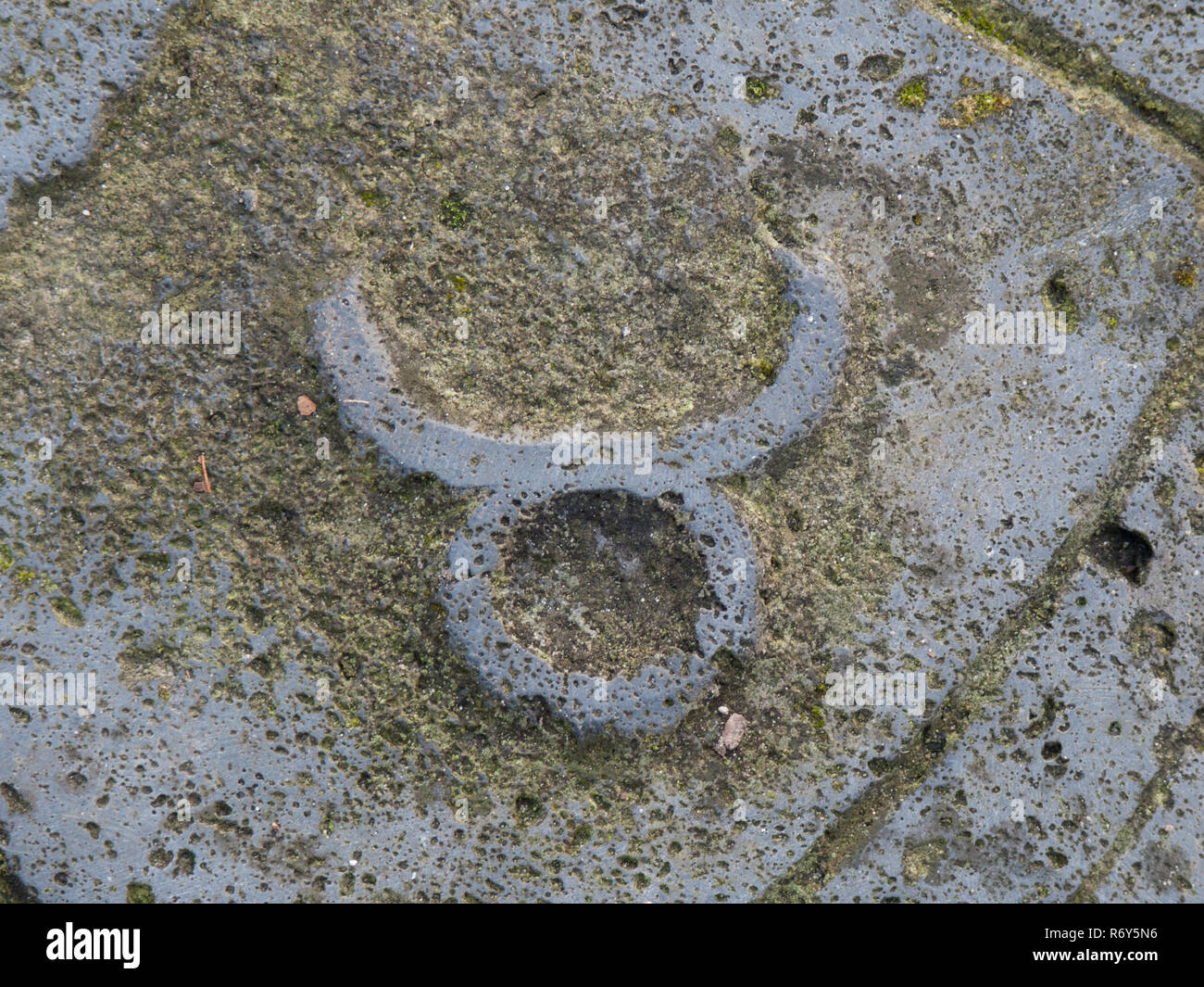 stone carved star sign - bull Stock Photo - Alamy