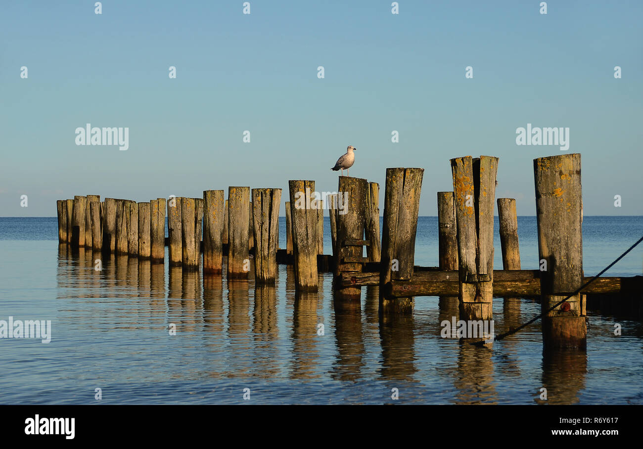 old boat dock Stock Photo - Alamy