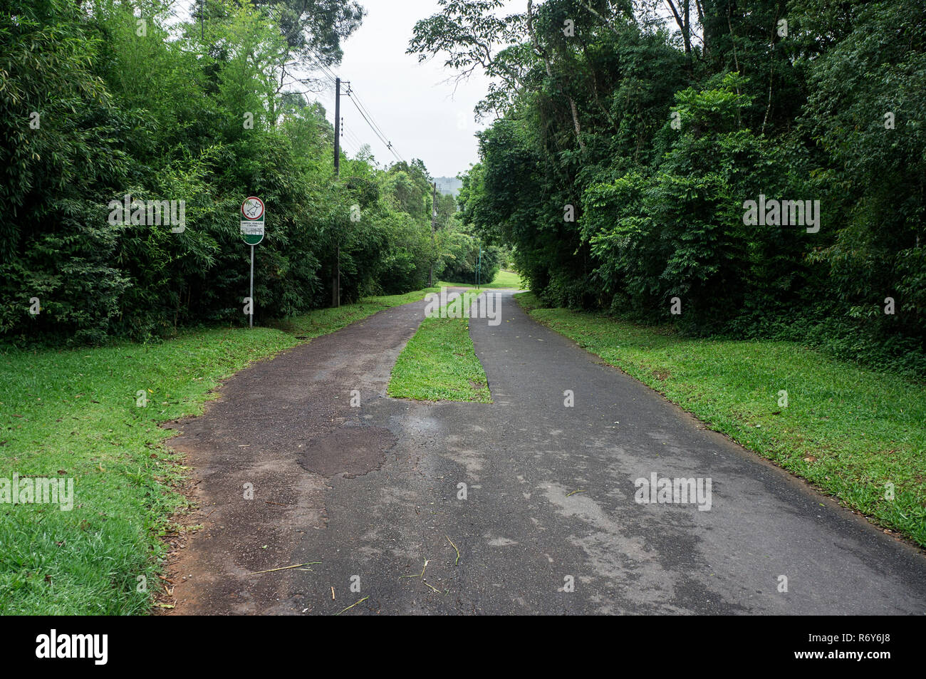 grass Tangua park view road track trees Brazil city Curitiba Stock ...