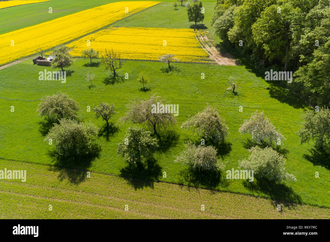 Rapsa l hi-res stock photography and images - Alamy