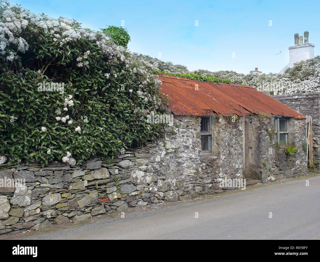 historic village cregneash on the isle of man Stock Photo - Alamy
