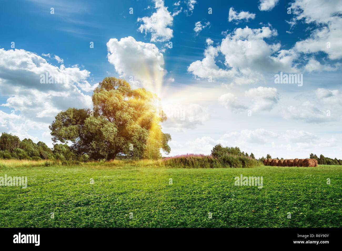 Rural nature park Stock Photo - Alamy