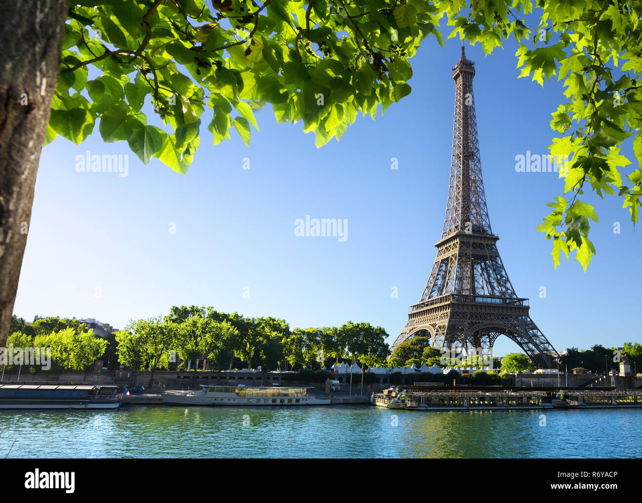 Morning in Paris Stock Photo - Alamy
