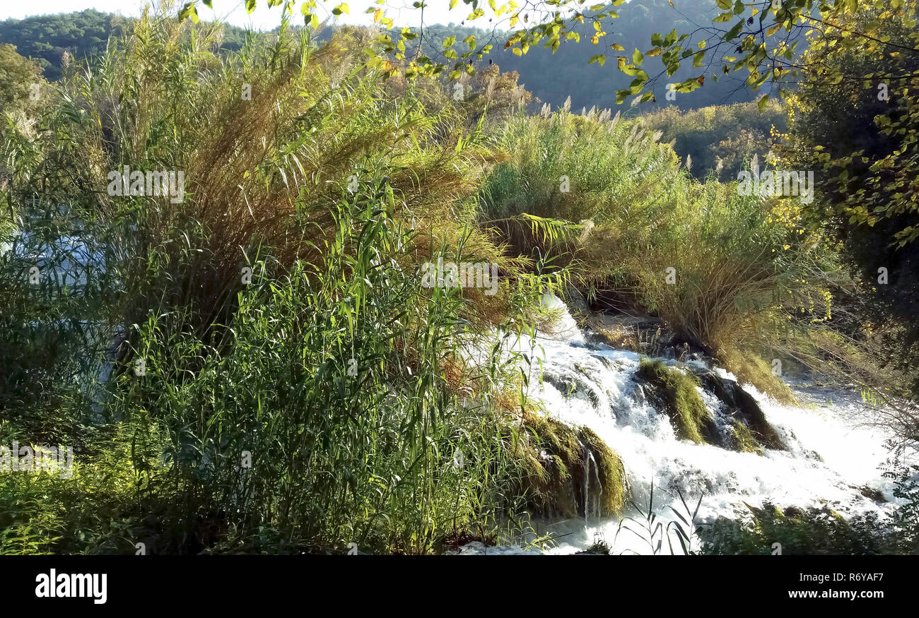 Croatian nature - forest, lakes, waterfalls in Krka National Park Stock ...