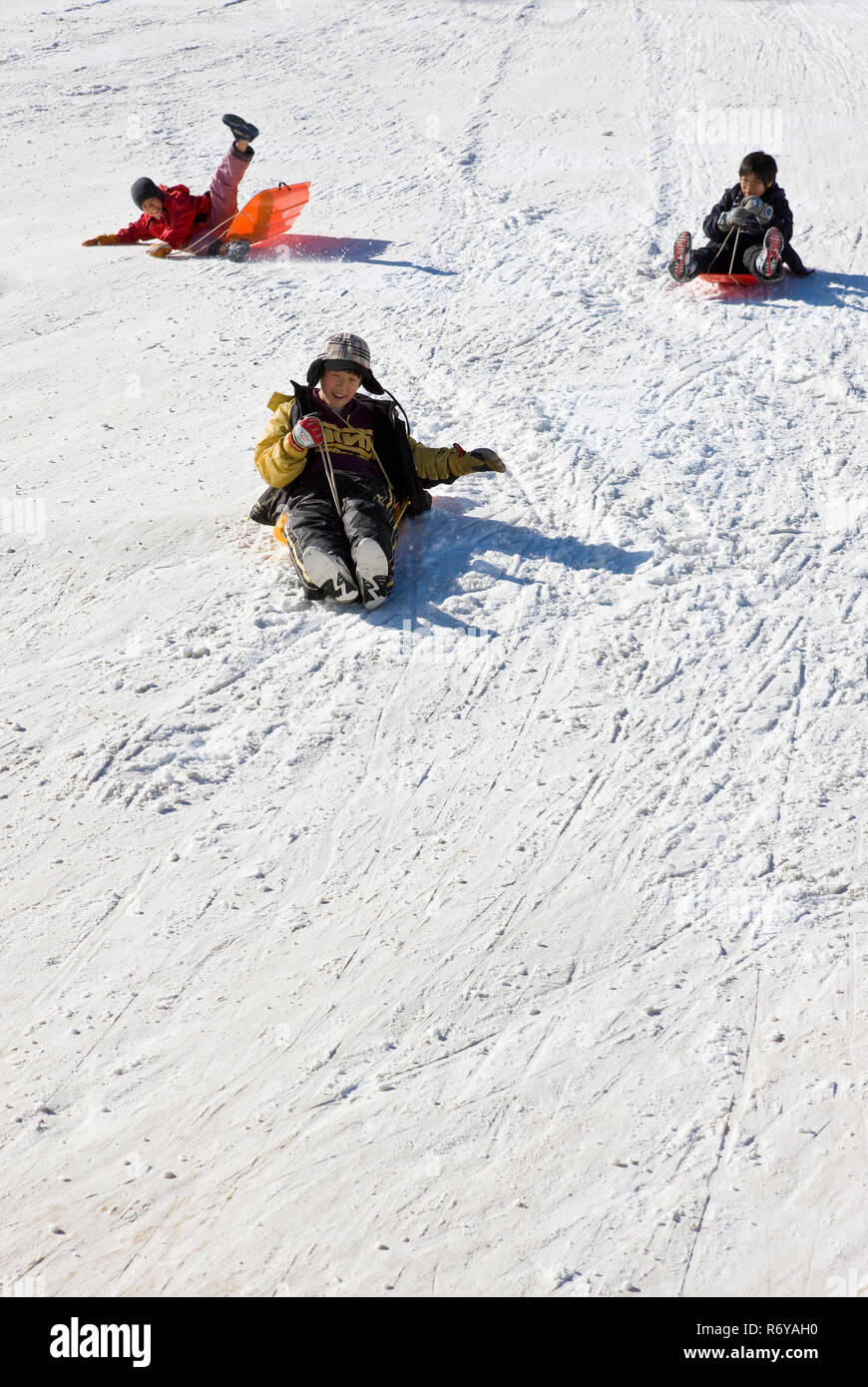 Kids enjoy snow sledding at hill in Gangwon-do Province, South korea ...