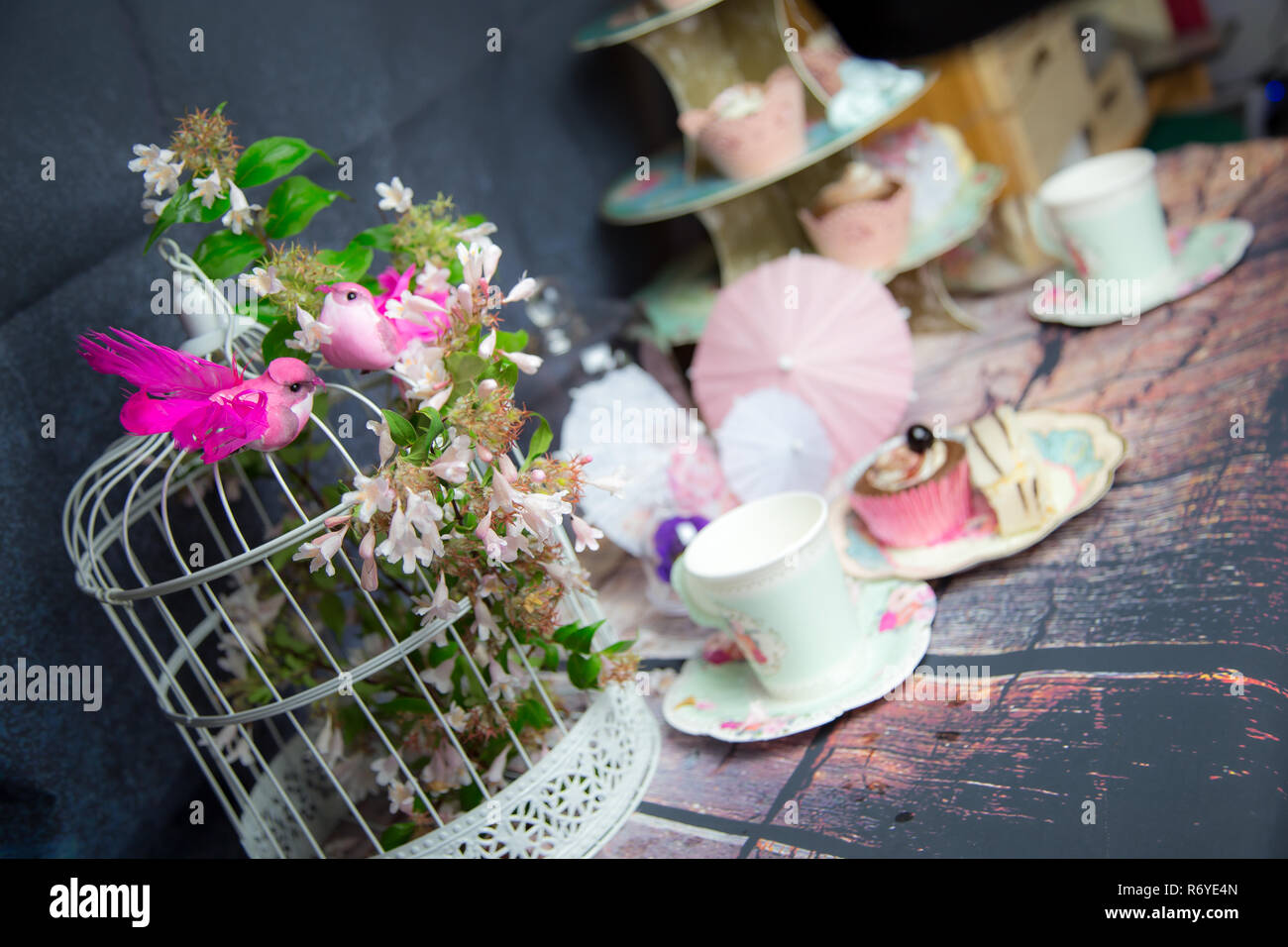 Buffet for birds hi-res stock photography and images - Alamy