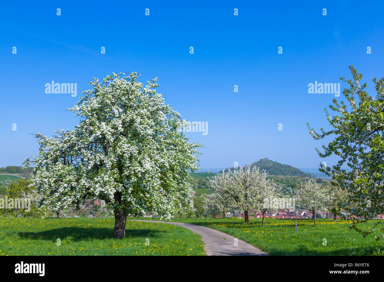 Birnbaum village hi-res stock photography and images - Alamy