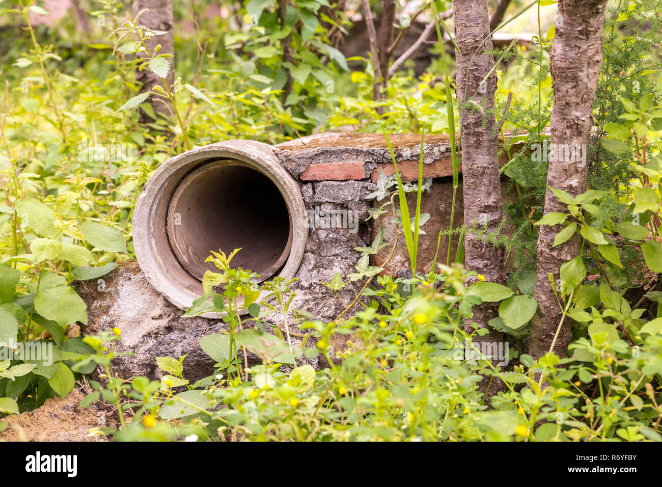 Garden Glimpse View High Resolution Stock Photography and Images - Alamy