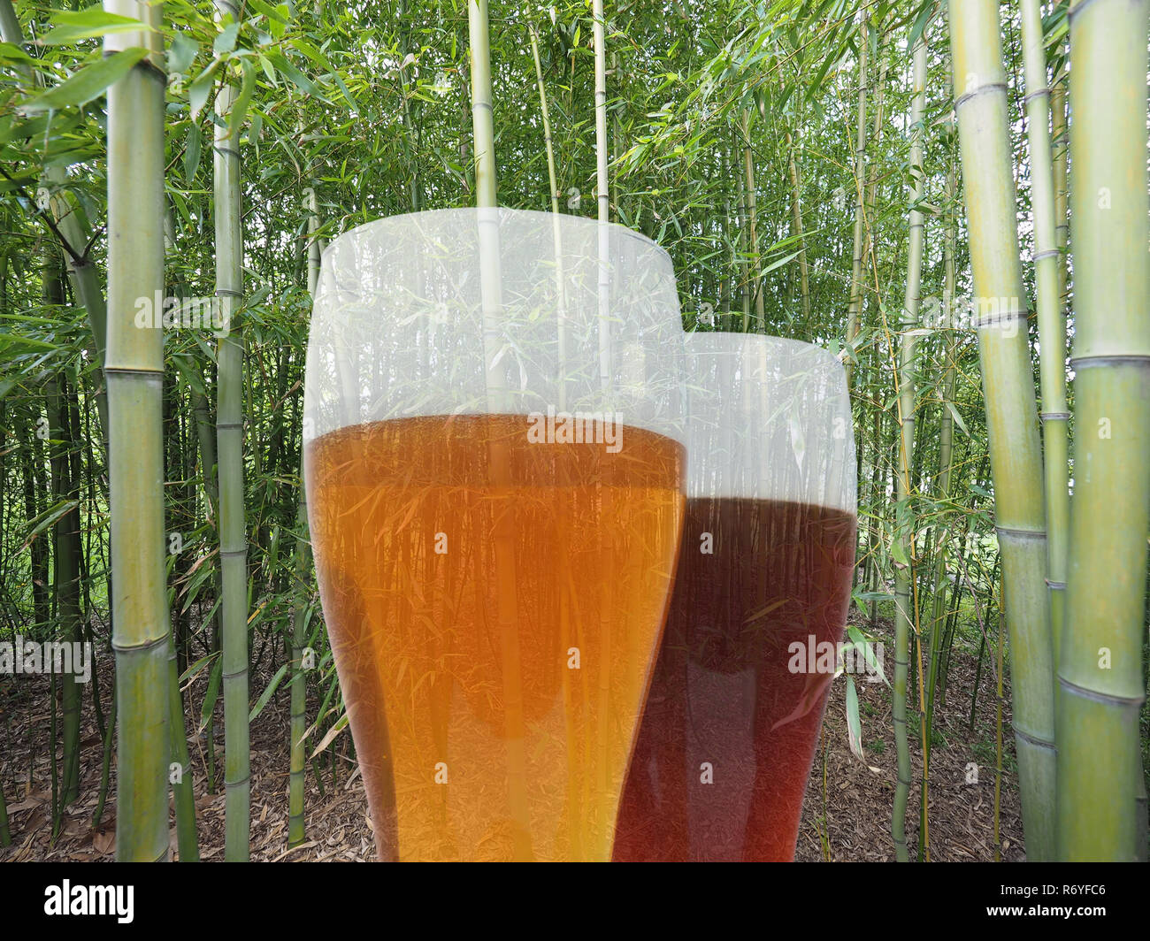 Alcohol canes hi-res stock photography and images - Alamy
