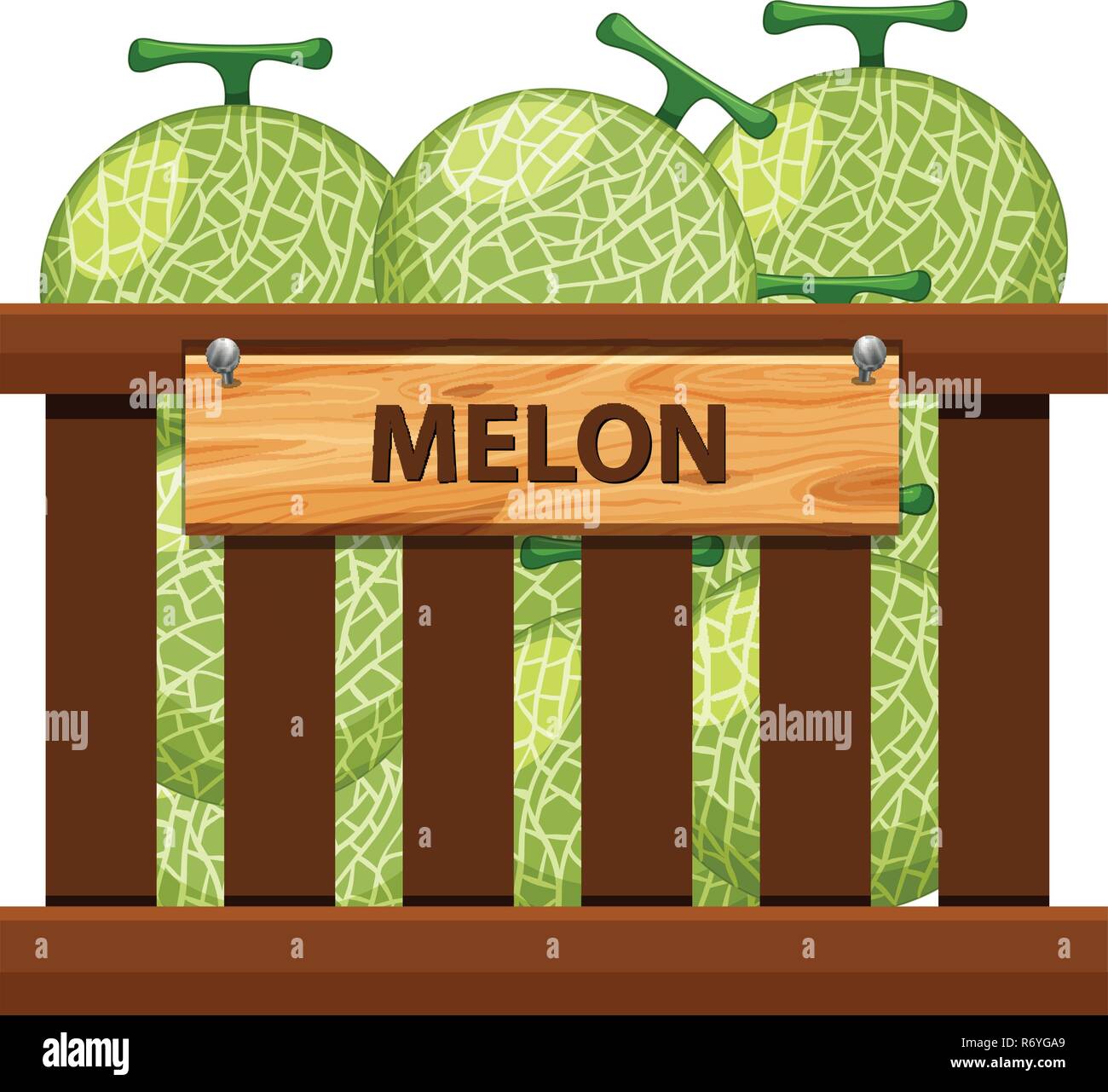 A crate of melon illustration Stock Vector Image & Art - Alamy