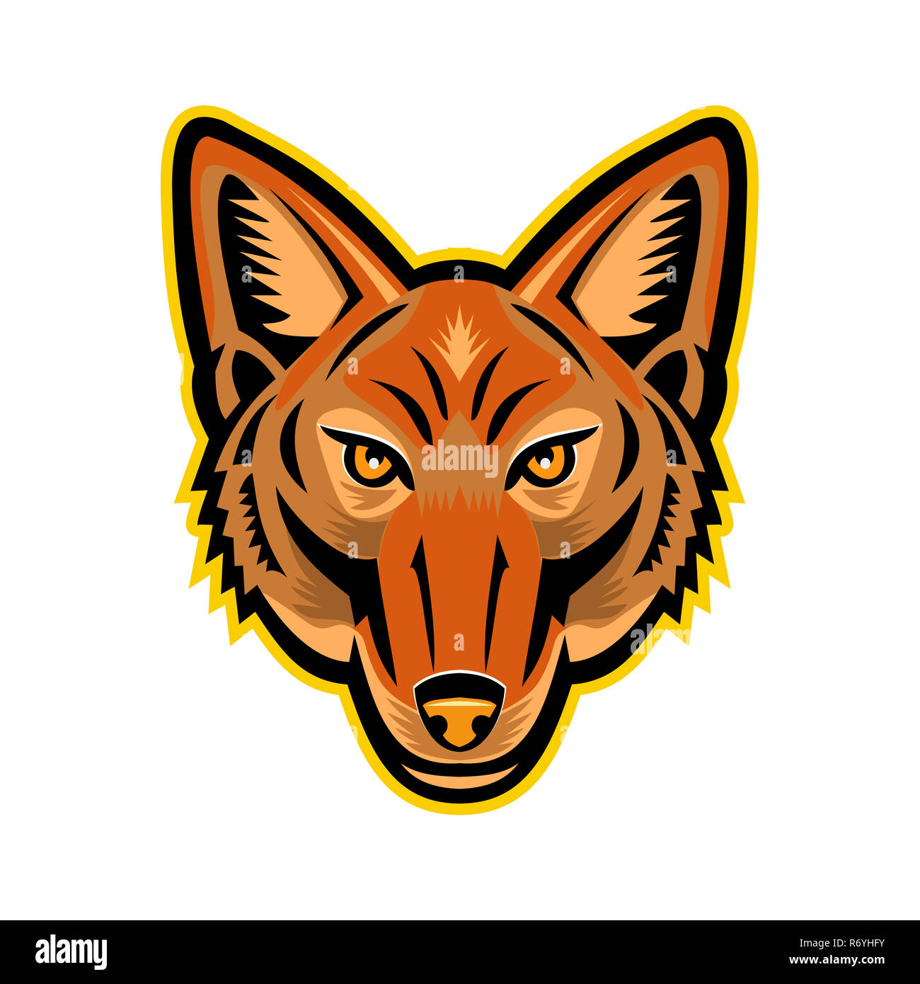 Jackal head Cut Out Stock Images & Pictures - Alamy