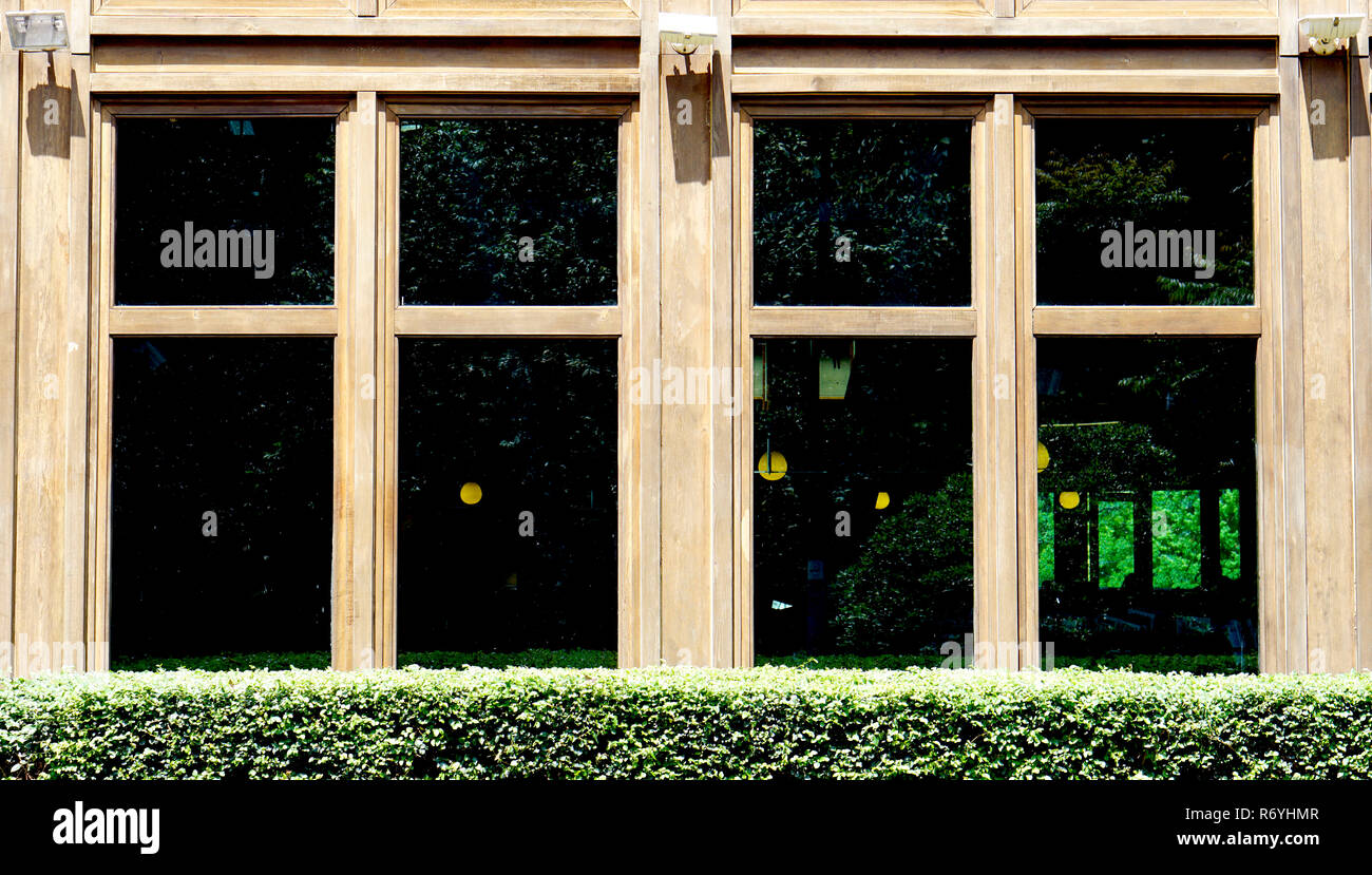 wooden window architecture with green bush plant Stock Photo - Alamy