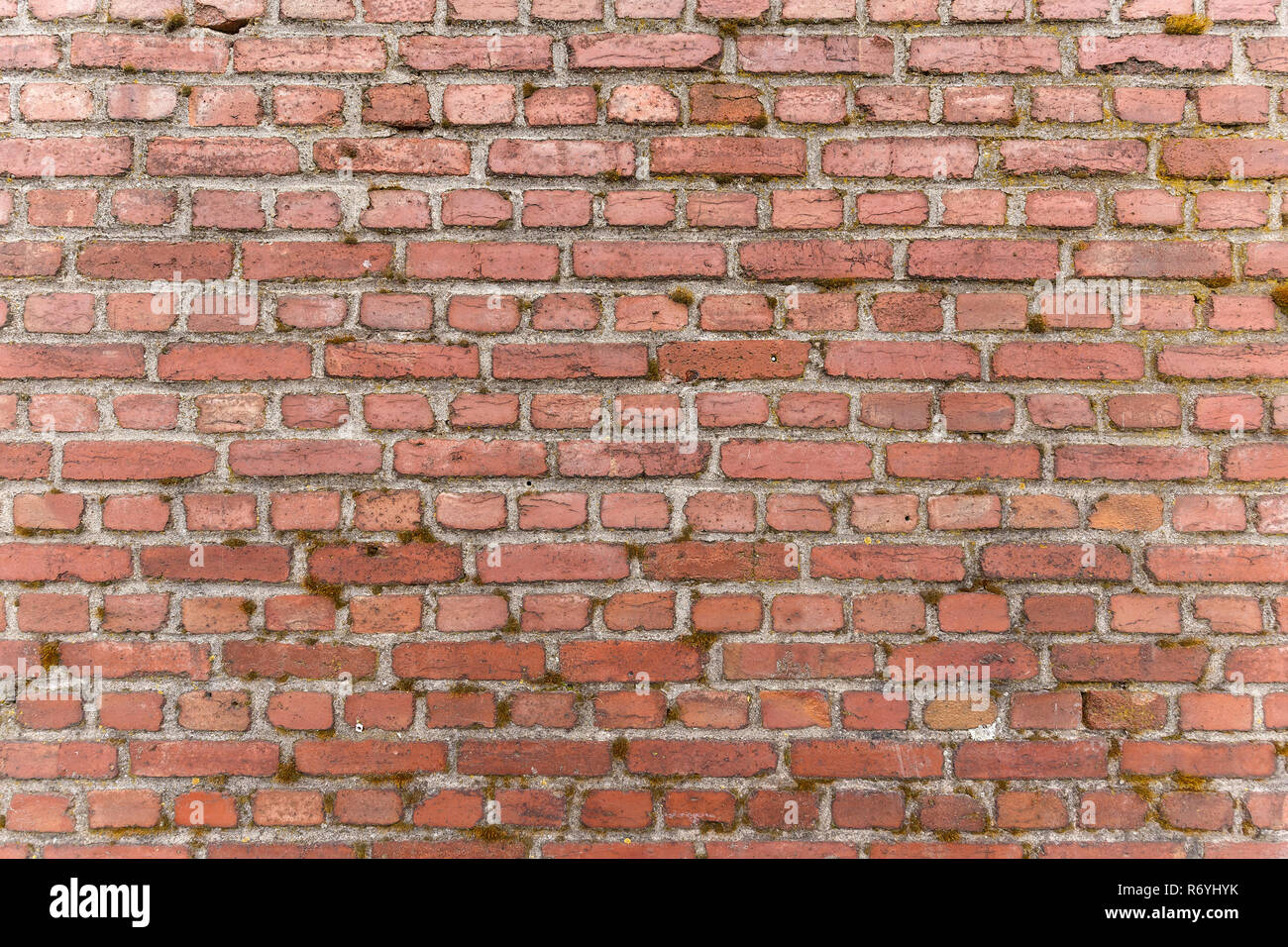 Weathered red brick wall Stock Photo - Alamy