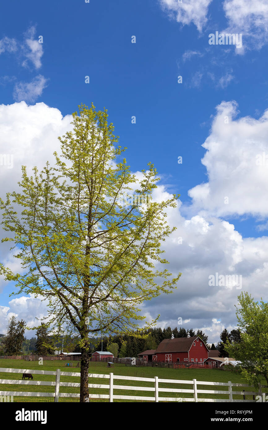 Oregon coast usa red barn hi-res stock photography and images - Alamy