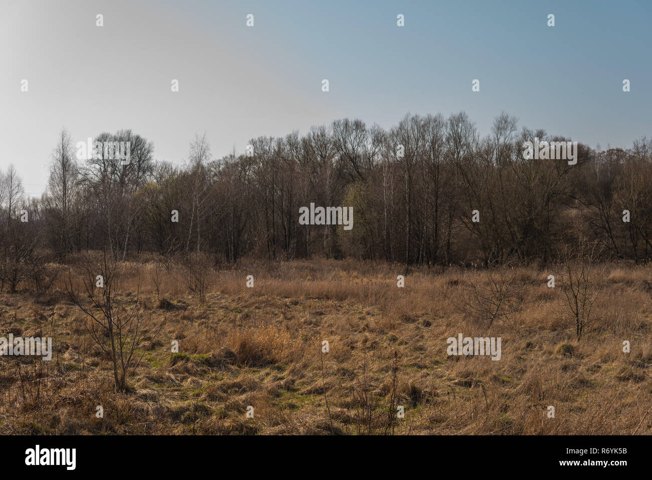 early spring landscape with dried grass Stock Photo - Alamy