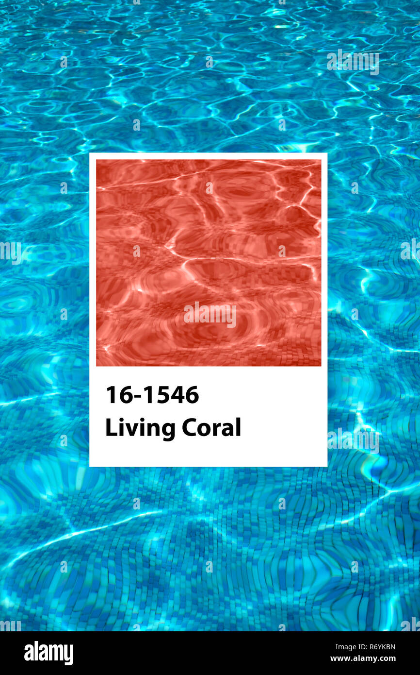 Living Coral Texture of swimming pool. Perfect paradise backdrop from ...