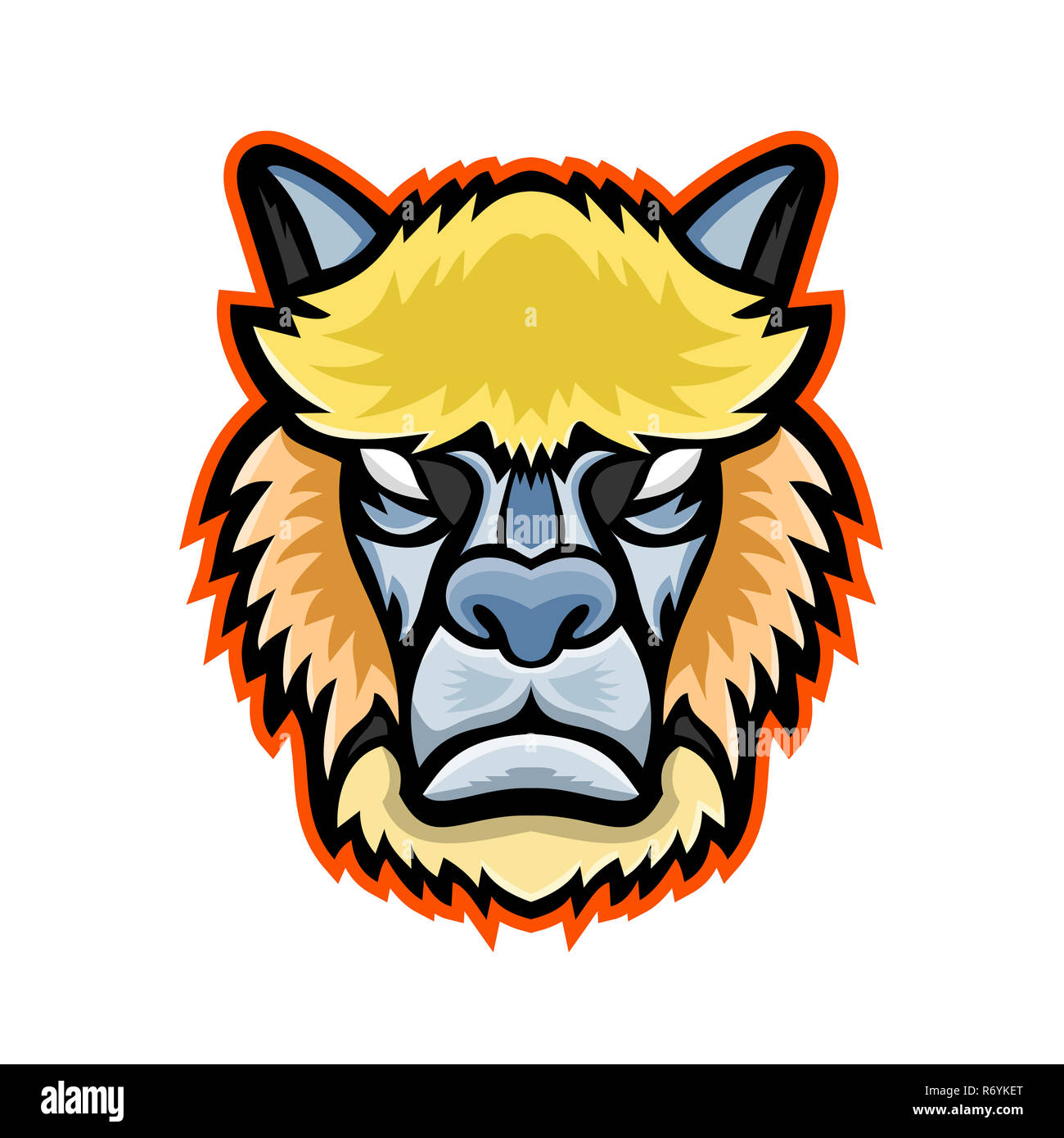 Angry alpaca hi-res stock photography and images - Alamy