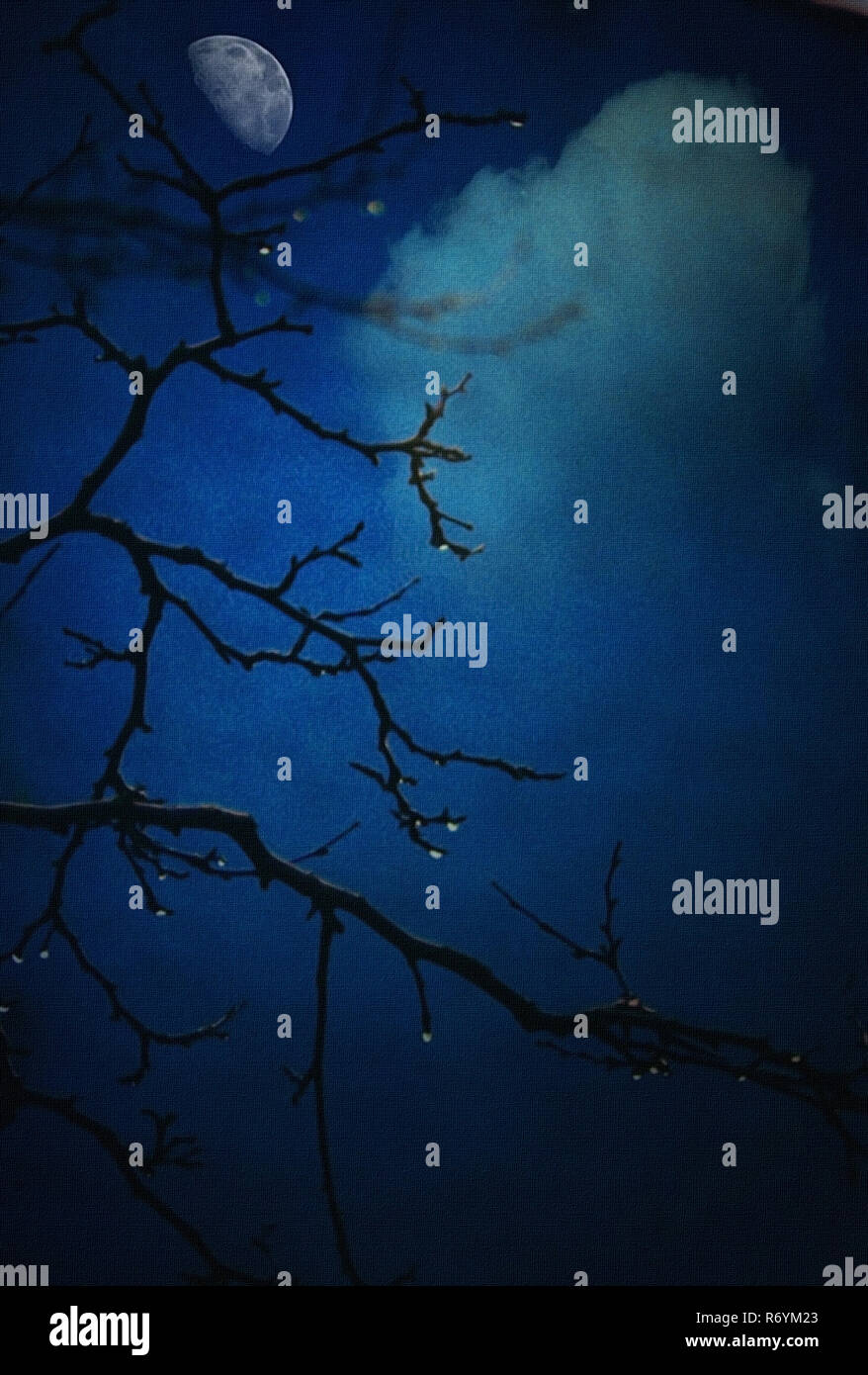 Tree night nighttime moon sight hi-res stock photography and images - Alamy