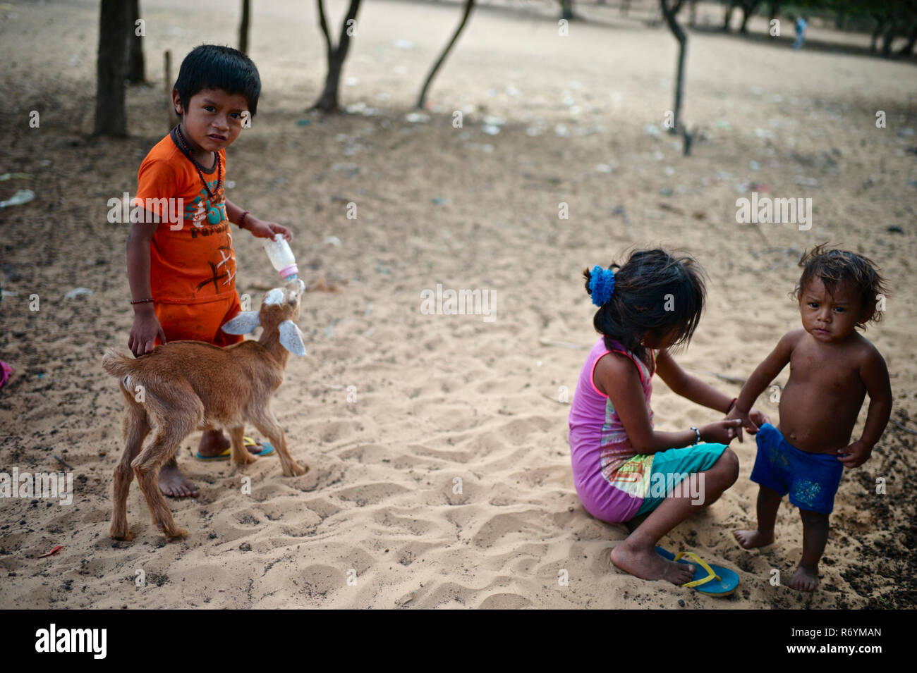 Traditional rancheria in a remote part of La Guajira Stock Photo - Alamy