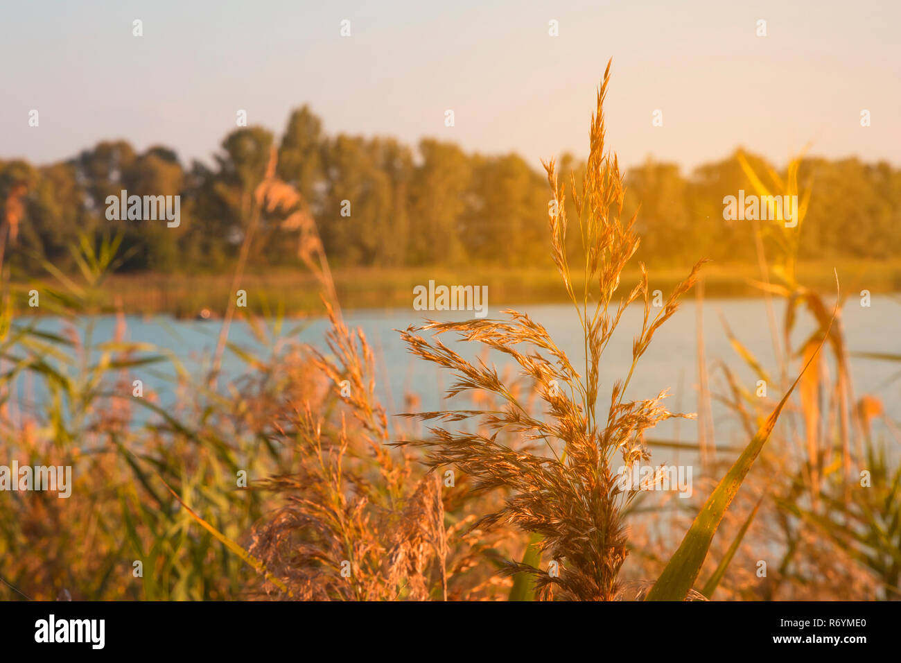 Orange tinted sunset hi-res stock photography and images - Alamy