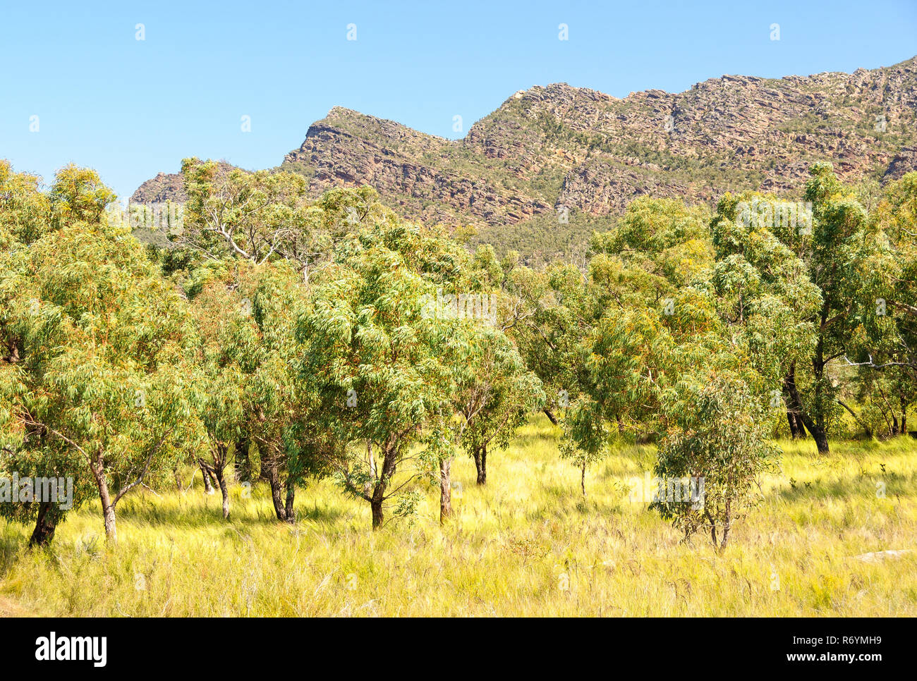 Victoria serra hi-res stock photography and images - Alamy