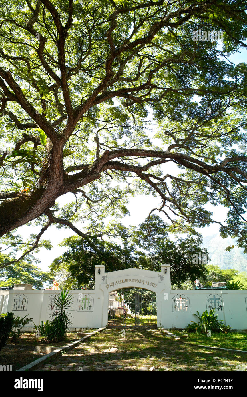 Entrance of the cemetery in the Kankuamo village of Atanquez Stock ...