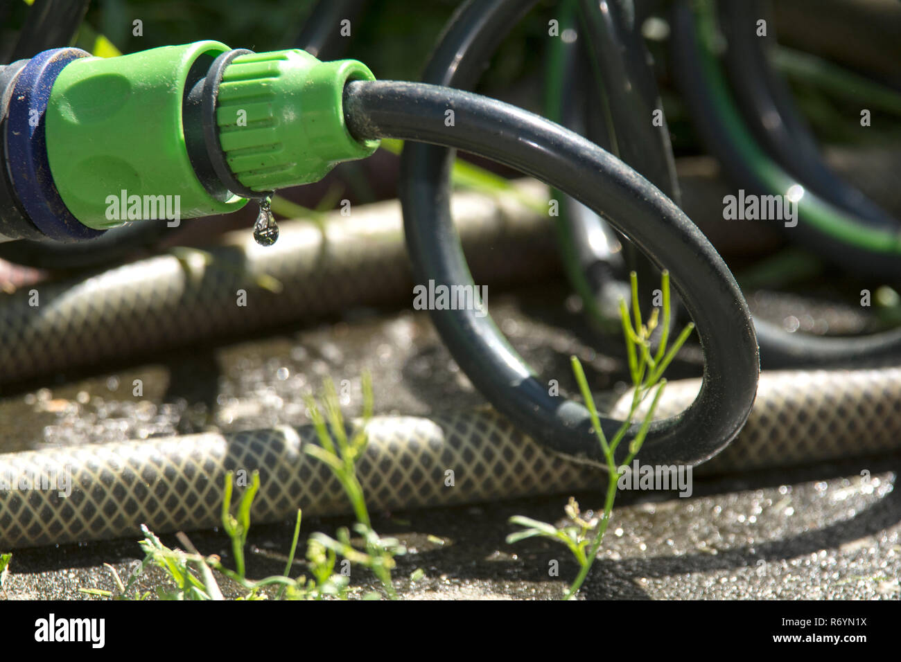 dripping garden hose Stock Photo - Alamy