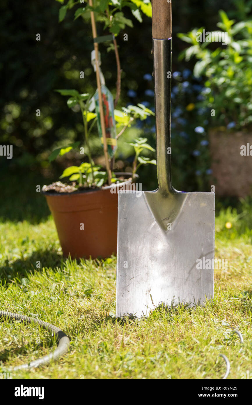 gardening - symbol photo Stock Photo - Alamy