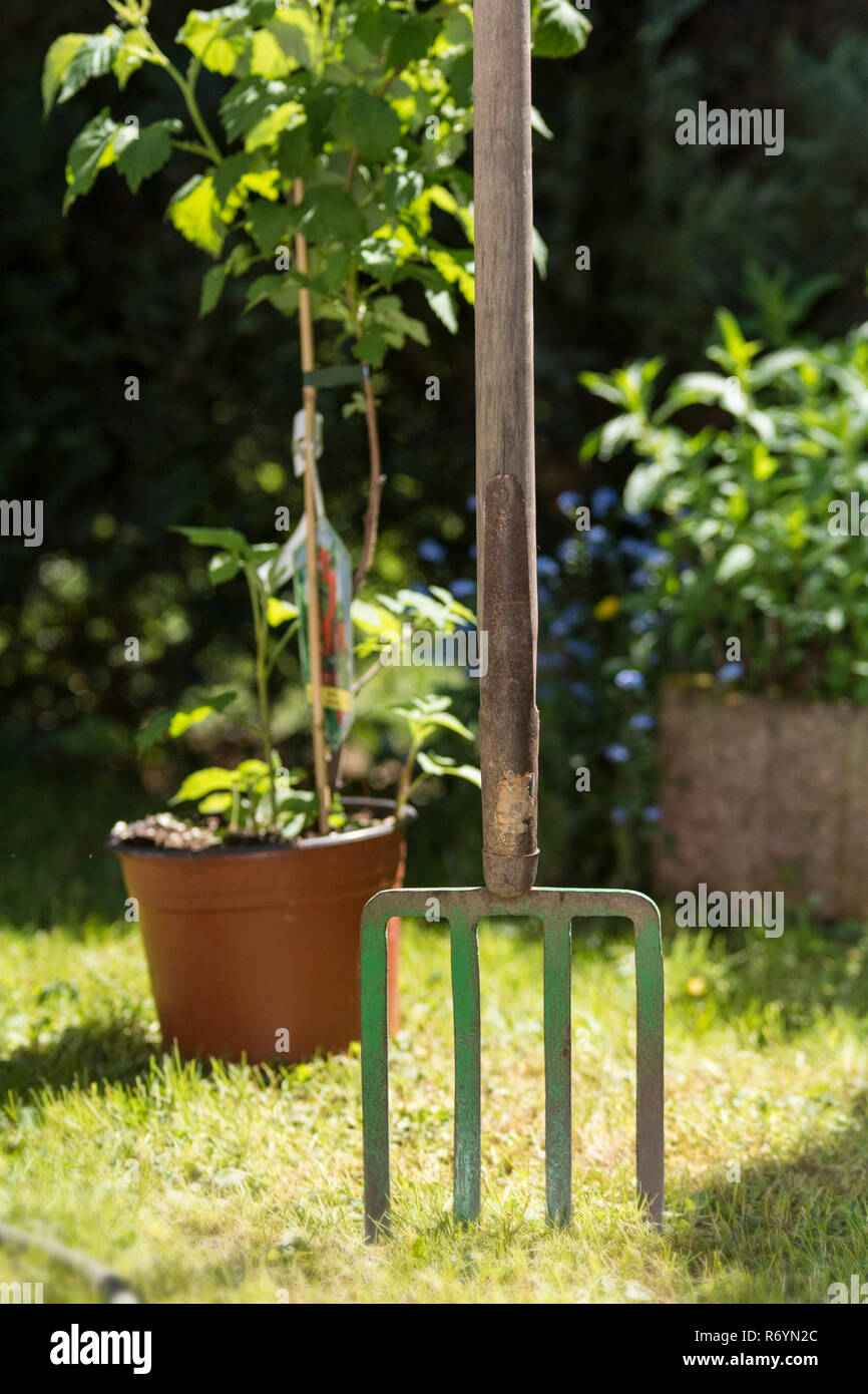 gardening - symbol photo Stock Photo - Alamy