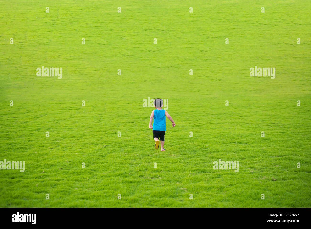 Little child boy running forward in the big green grass field summer ...